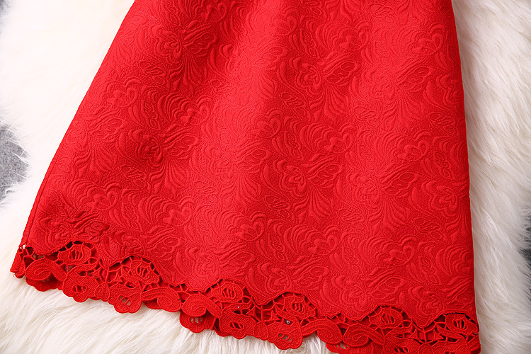 Openwork Embroidery Jacquard Sleeveless Dress Love on Luulla